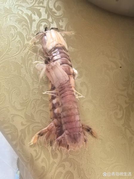 青岛虾虎怎么做好吃_青岛虾虎哪里买最新鲜-第2张图片-山城妙识