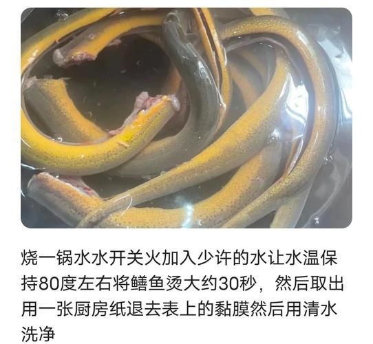 红烧鳝鱼段怎么做_红烧鳝鱼段的家常做法-第2张图片-山城妙识