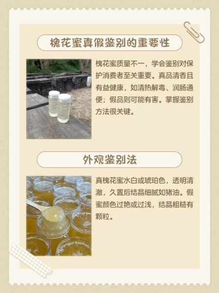 槐花蜂蜜怎么辨别真假_槐花蜂蜜真假鉴别方法-第1张图片-山城妙识