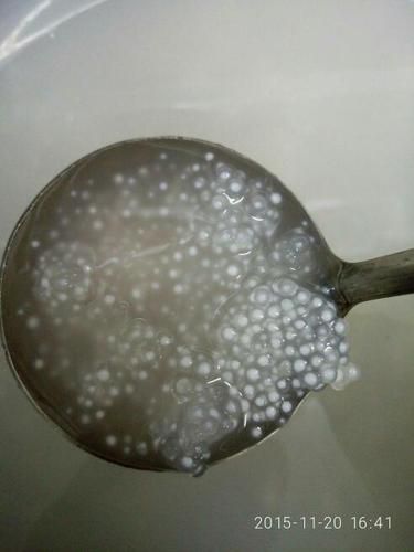 西米没煮透明能吃吗_吃了会怎样-第1张图片-山城妙识