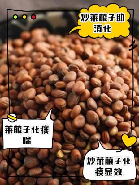 莱菔子能减肥吗_莱菔子怎么吃效果最好-第2张图片-山城妙识
