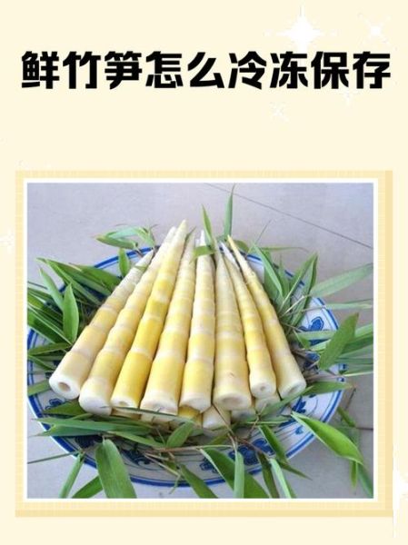 竹笋怎么保存_新鲜竹笋能放几天-第1张图片-山城妙识 竹笋怎么保存_新鲜竹笋能放几天-第1张图片-山城妙识