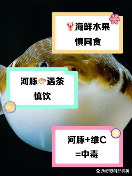 河豚鱼功效与禁忌_河豚鱼什么人不能吃-第1张图片-山城妙识