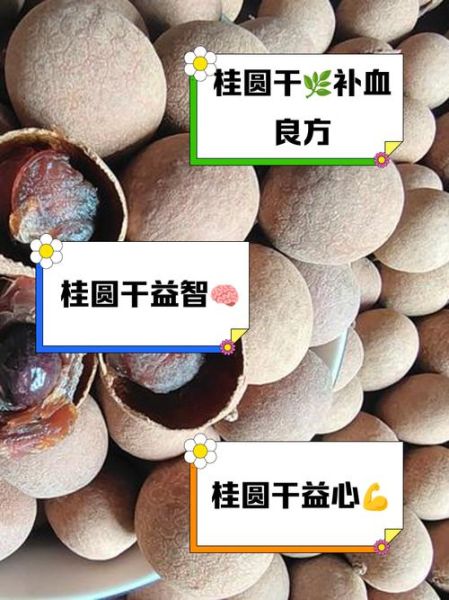 桂圆干的功效与作用_桂圆干一天吃多少合适-第2张图片-山城妙识 桂圆干的功效与作用_桂圆干一天吃多少合适-第2张图片-山城妙识