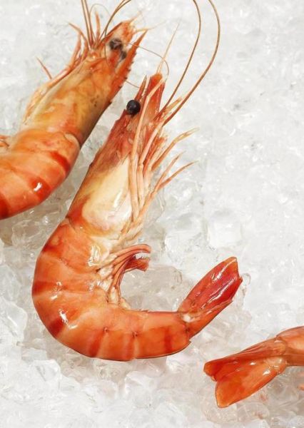 北极虾的危害有哪些_北极虾吃多了会怎么样-第2张图片-山城妙识