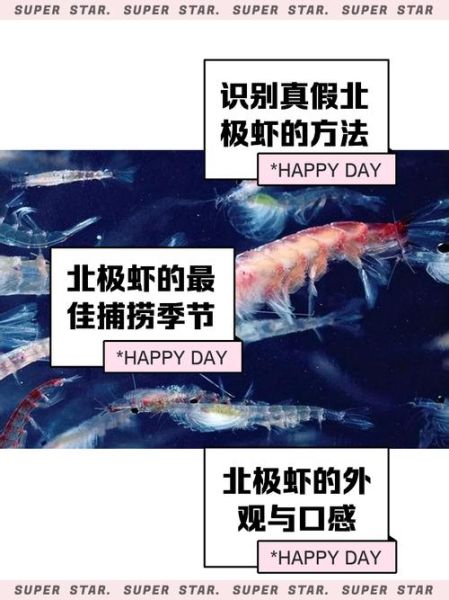 北极虾的危害有哪些_北极虾吃多了会怎么样-第1张图片-山城妙识