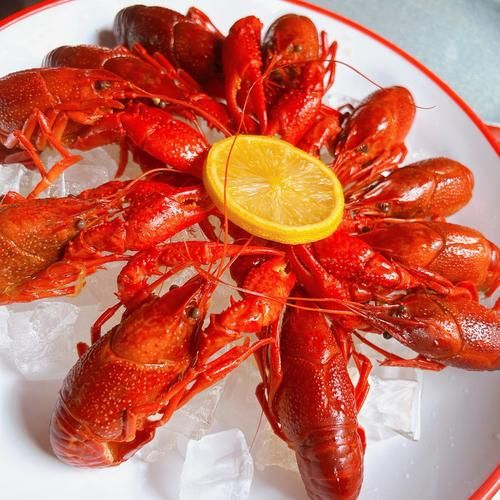 龙虾图片大全大图真实_高清龙虾实拍图怎么找-第2张图片-山城妙识