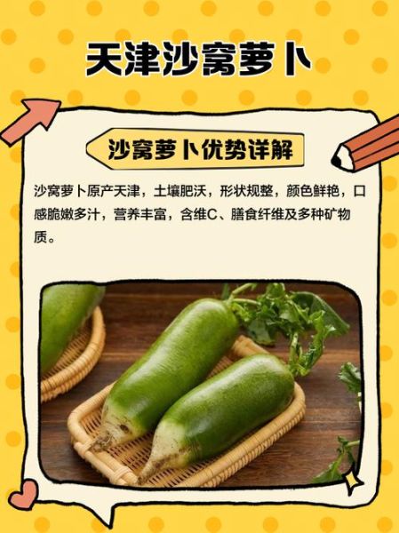 天津沙窝萝卜怎么吃_沙窝萝卜做法大全-第2张图片-山城妙识