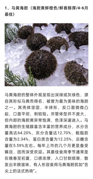 海胆种类有哪些_如何区分海胆品种-第2张图片-山城妙识 海胆种类有哪些_如何区分海胆品种-第2张图片-山城妙识