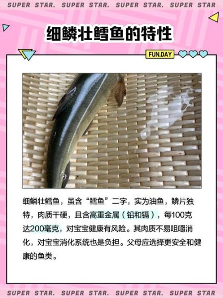 细鳞鱼多少钱一斤_细鳞鱼怎么做好吃-第1张图片-山城妙识 细鳞鱼多少钱一斤_细鳞鱼怎么做好吃-第1张图片-山城妙识