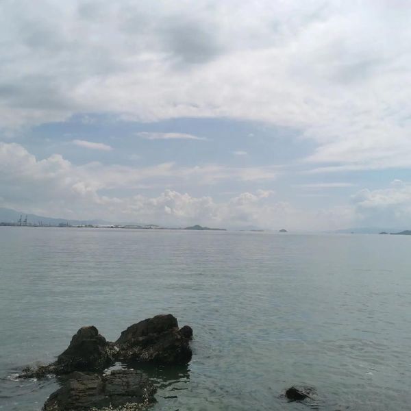 细鳞鱼多少钱一斤_细鳞鱼怎么做好吃-第2张图片-山城妙识 细鳞鱼多少钱一斤_细鳞鱼怎么做好吃-第2张图片-山城妙识