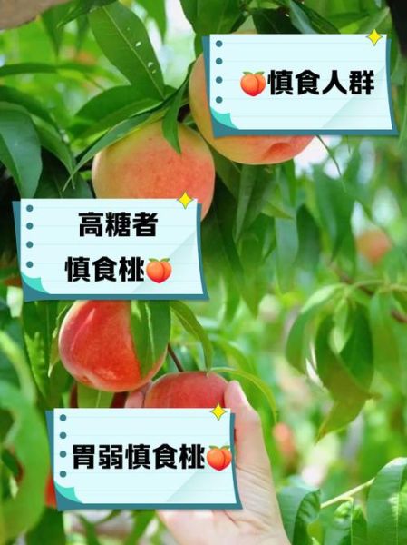 桃子什么人不能吃_桃子禁忌人群-第1张图片-山城妙识