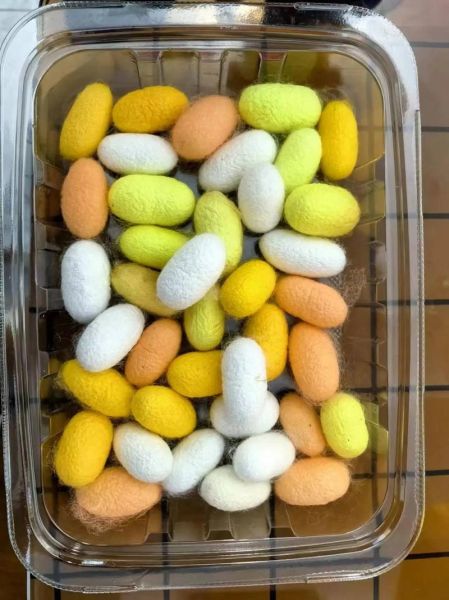 蚕茧的作用_蚕茧有什么功效-第3张图片-山城妙识