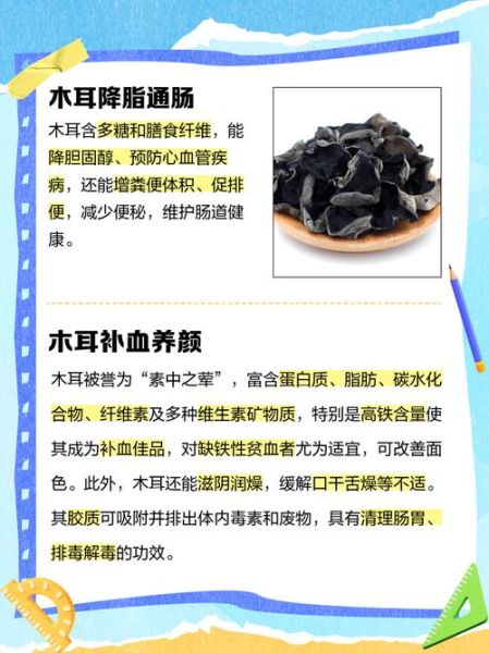 木耳的功效与作用_木耳怎么吃最养生-第2张图片-山城妙识