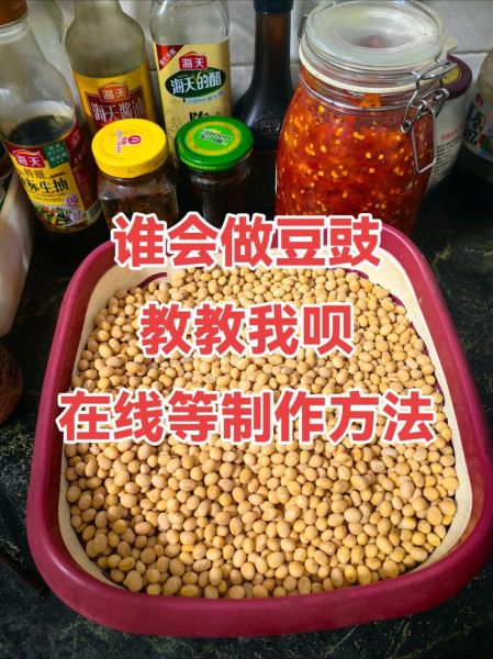 自制豆豉怎么做_豆豉发酵失败怎么办-第1张图片-山城妙识