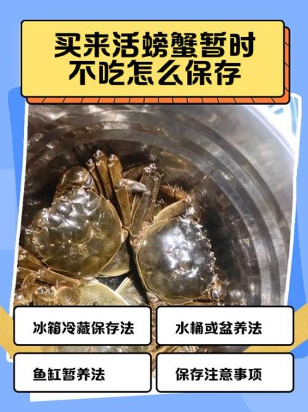 活螃蟹怎么处理_刚买的活螃蟹怎么保存-第1张图片-山城妙识 活螃蟹怎么处理_刚买的活螃蟹怎么保存-第1张图片-山城妙识