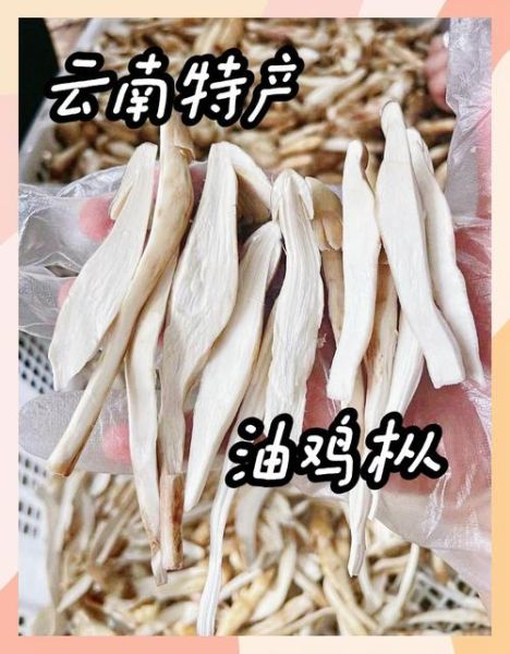 菌油的功效与作用_菌油怎么吃效果最好-第3张图片-山城妙识