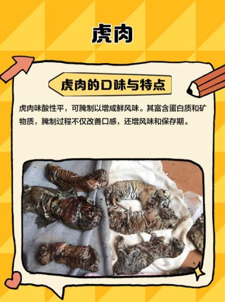 虎肉能吃吗_吃虎肉犯法吗-第1张图片-山城妙识 虎肉能吃吗_吃虎肉犯法吗-第1张图片-山城妙识