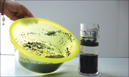 莲蓬乳芝麻毛孔怎么去除_莲蓬乳芝麻毛孔会自愈吗-第3张图片-山城妙识