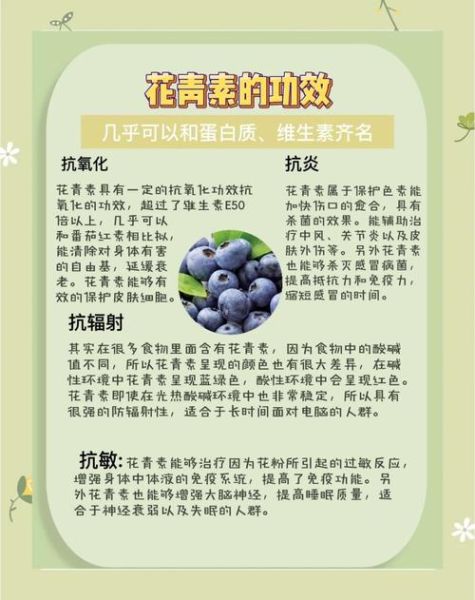 花青素能减肥吗_花青素怎么吃减肥最快-第2张图片-山城妙识