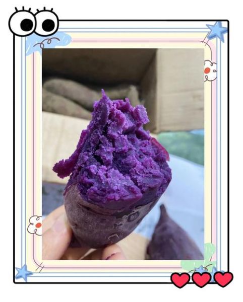 长期吃紫薯会怎样_紫薯每天吃多少合适-第2张图片-山城妙识