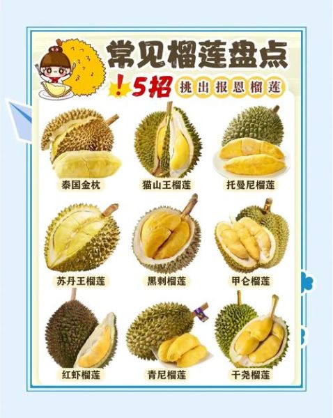 榴莲怎么挑好吃_榴莲怎么选才香甜-第1张图片-山城妙识