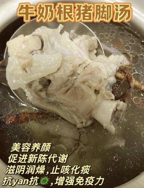 清炖猪脚汤怎么做_清炖猪脚汤功效-第1张图片-山城妙识