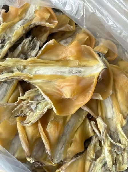 墨鱼干和鱿鱼干的区别_怎么选更划算-第2张图片-山城妙识