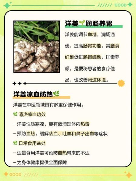 洋姜吃多了有什么坏处_洋姜的副作用有哪些-第1张图片-山城妙识