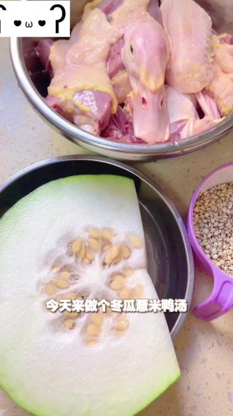 冬瓜鸭汤的做法大全_冬瓜鸭汤的功效与禁忌-第3张图片-山城妙识