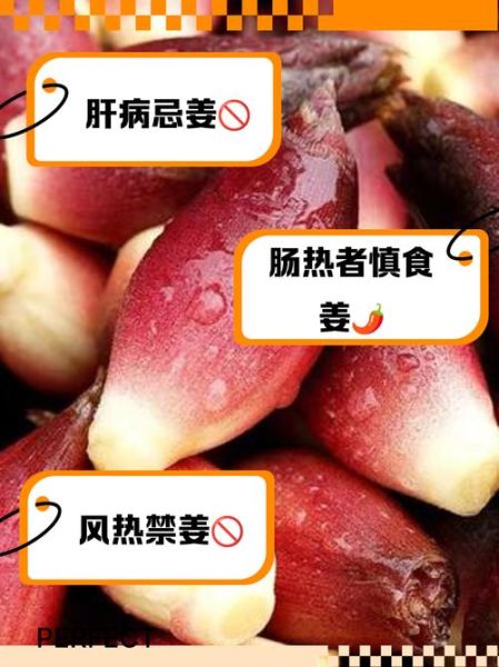 洋姜吃多了有什么坏处_洋姜的副作用有哪些-第2张图片-山城妙识