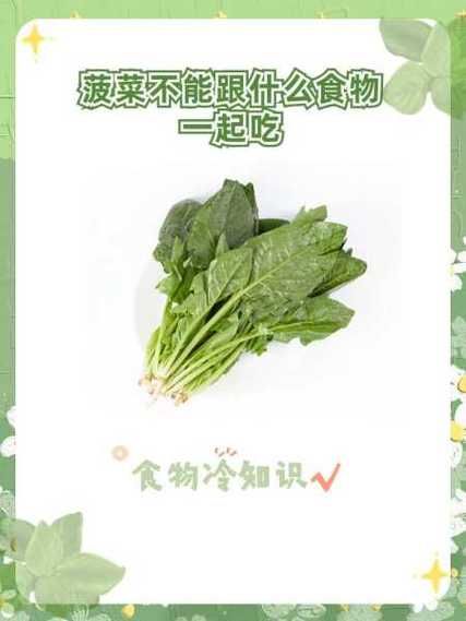 菠菜晚上吃会影响睡眠吗_菠菜为什么不能晚上吃-第1张图片-山城妙识 菠菜晚上吃会影响睡眠吗_菠菜为什么不能晚上吃-第1张图片-山城妙识