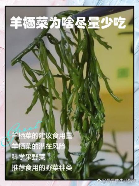 羊栖菜是什么菜_羊栖菜怎么吃-第1张图片-山城妙识 羊栖菜是什么菜_羊栖菜怎么吃-第1张图片-山城妙识