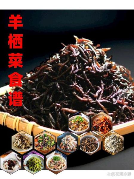 羊栖菜是什么菜_羊栖菜怎么吃-第3张图片-山城妙识 羊栖菜是什么菜_羊栖菜怎么吃-第3张图片-山城妙识