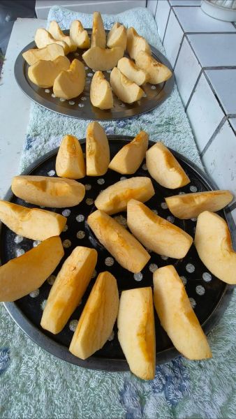 苹果干怎么做_苹果干家庭烤箱做法-第3张图片-山城妙识 苹果干怎么做_苹果干家庭烤箱做法-第3张图片-山城妙识