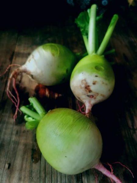 心灵美萝卜怎么种_心灵美萝卜营养价值高吗-第3张图片-山城妙识