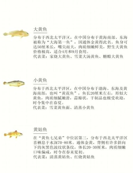 黄鱼和黄花鱼的区别_哪种更好吃-第3张图片-山城妙识