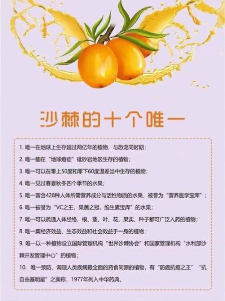 沙棘的功效与作用怎么吃_沙棘的正确吃法大全-第2张图片-山城妙识 沙棘的功效与作用怎么吃_沙棘的正确吃法大全-第2张图片-山城妙识