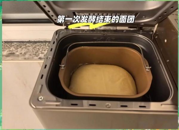 东菱面包机做面包配方_东菱面包机做面包失败原因-第1张图片-山城妙识