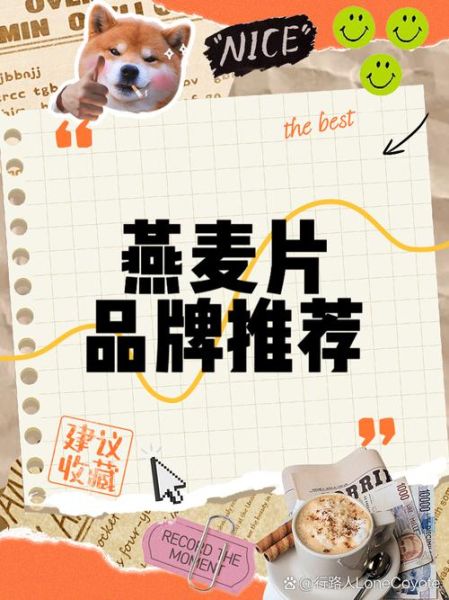 什么麦片品牌好_健康麦片怎么选-第3张图片-山城妙识