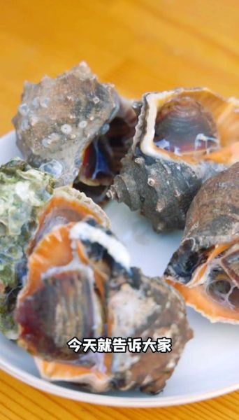 海螺怎么吃东西_海螺进食方式揭秘-第1张图片-山城妙识