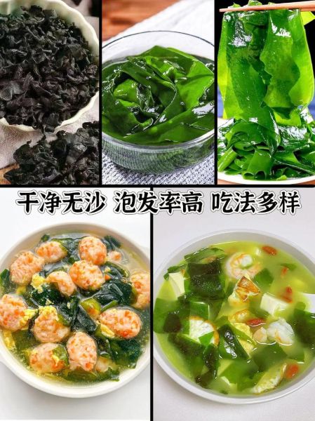 海裙菜是什么_海裙菜怎么吃-第2张图片-山城妙识