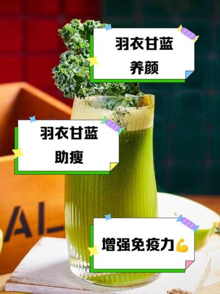 甘蓝汁能减肥吗_甘蓝汁怎么喝效果最好-第2张图片-山城妙识