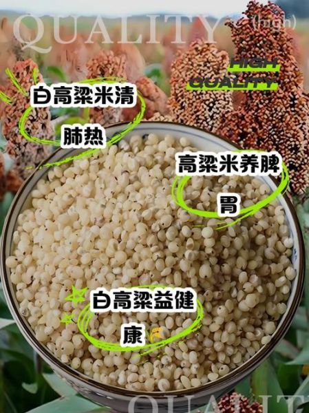高粱米的功效与作用及食用方法_高粱米的禁忌有哪些-第1张图片-山城妙识