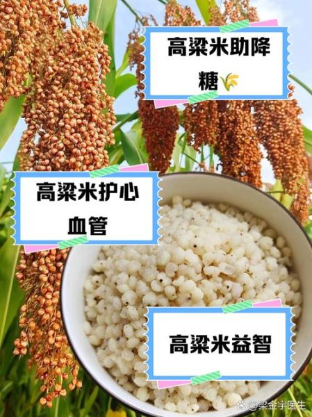 高粱米的功效与作用及食用方法_高粱米的禁忌有哪些-第2张图片-山城妙识