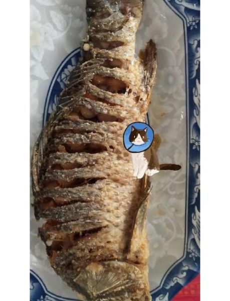 红烧鲤鱼怎么烧_红烧鲤鱼的家常做法-第2张图片-山城妙识 红烧鲤鱼怎么烧_红烧鲤鱼的家常做法-第2张图片-山城妙识