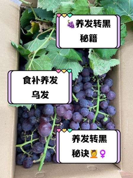 白头发吃什么变黑偏方_白发变黑发吃什么好-第3张图片-山城妙识