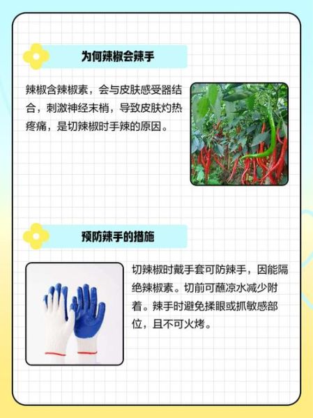 手被辣椒辣到怎么办_手被辣痛一招解决-第3张图片-山城妙识 手被辣椒辣到怎么办_手被辣痛一招解决-第3张图片-山城妙识