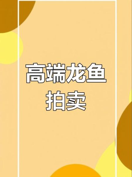 龙鱼价格多少钱一只_龙鱼价格受哪些因素影响-第1张图片-山城妙识