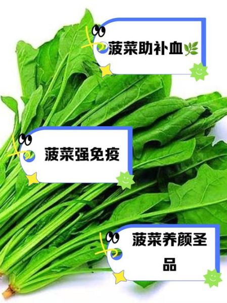 女人每天吃菠菜的好处_长期吃菠菜皮肤会变好吗-第1张图片-山城妙识 女人每天吃菠菜的好处_长期吃菠菜皮肤会变好吗-第1张图片-山城妙识